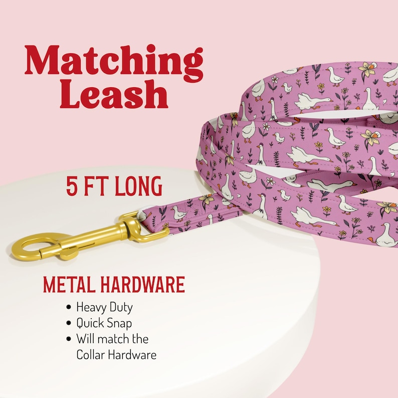 Goose Dog Collar Leash Set Personalized, Engraved Metal Buckle Dog ...