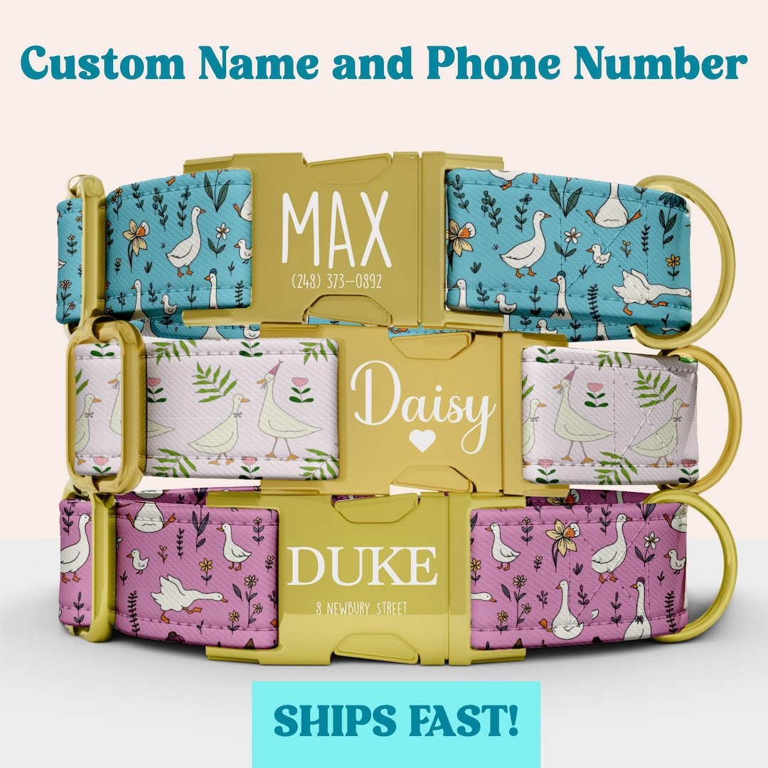 Goose Dog Collar Leash Set Personalized, Engraved Metal Buckle Dog ...
