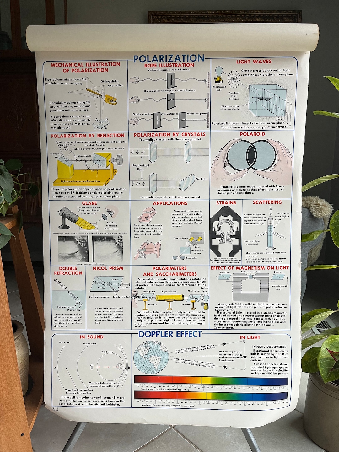 Vintage School Chart, Polarization, Vintage Physics Chart, 1952 Science ...
