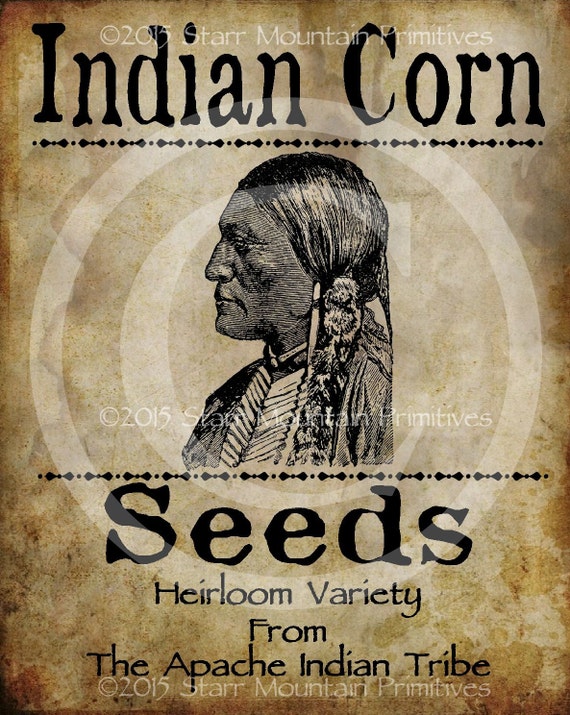 Apache Indians Corn