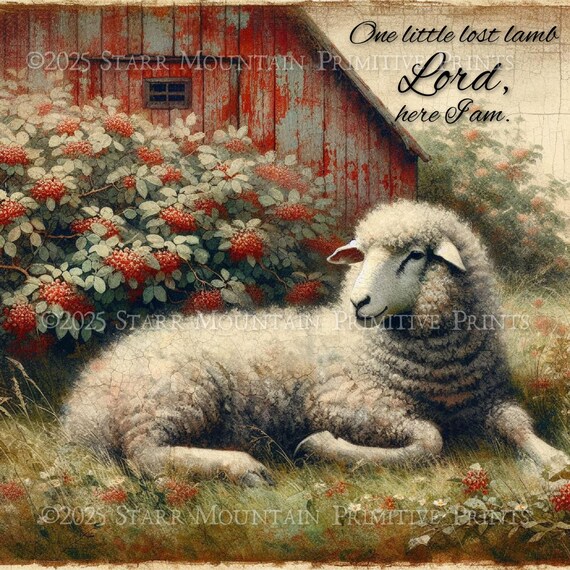 One Little Sheep