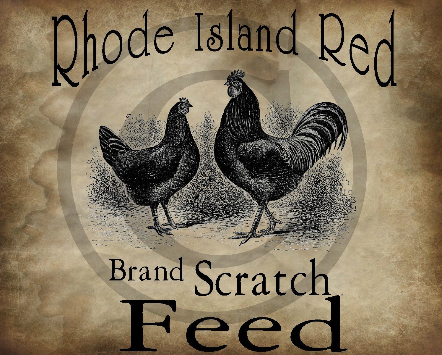 Primitive Rhode Island Feed Label Chicken Rooster Jpeg Digital Image ...