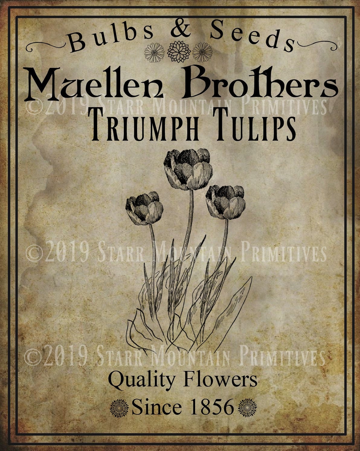 Primitive Tulips Tulip Bulbs Bulb Seed Packet Print Jpeg Digital Image ...