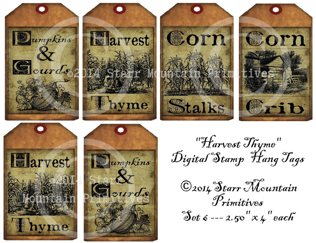 Primitive Autumn Fall Harvest Thyme Corn Stalks Crib Pumpkins Gourds ...