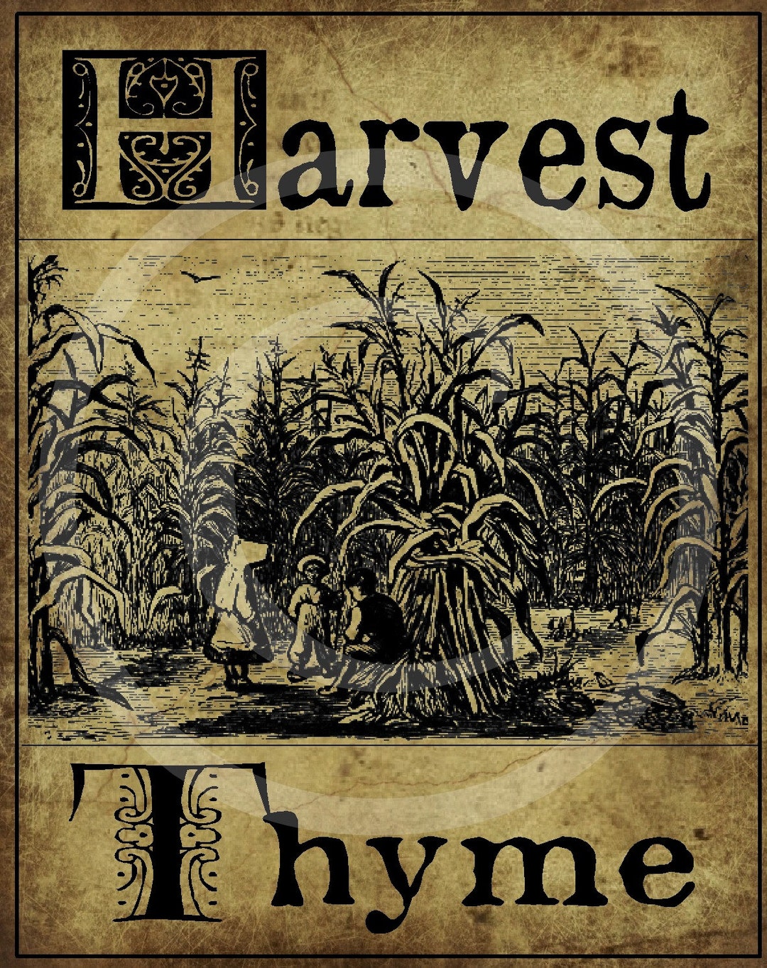 Primitive Vintage Fall Autumn Harvest Thyme Jpeg Digital Image Pillow ...