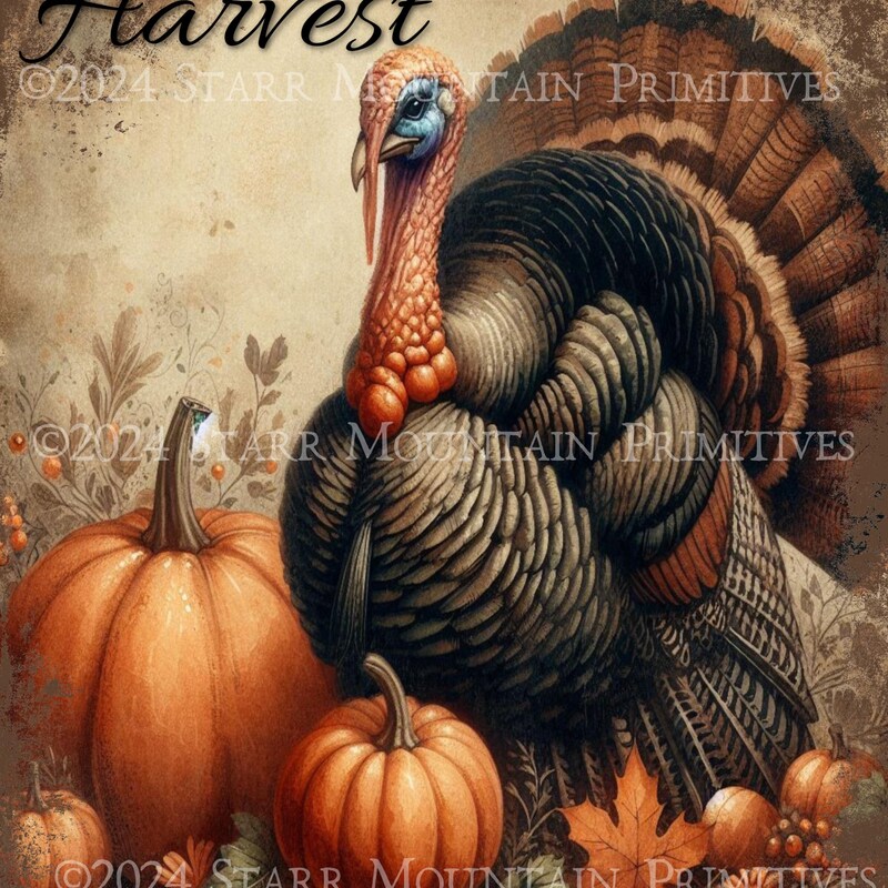 Primitive Turkey Pattern - Etsy