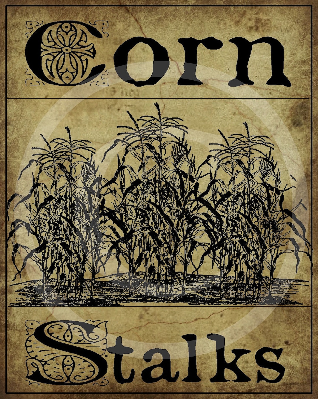 Primitive Old Fashioned Fall Autumn Corn Stalks Jpeg Digital Image ...