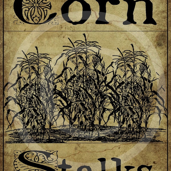 Old Can Labels - Etsy