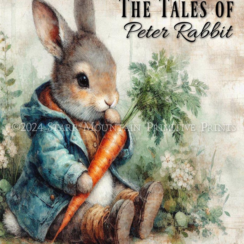 Peter Rabbit Rice Paper - Etsy