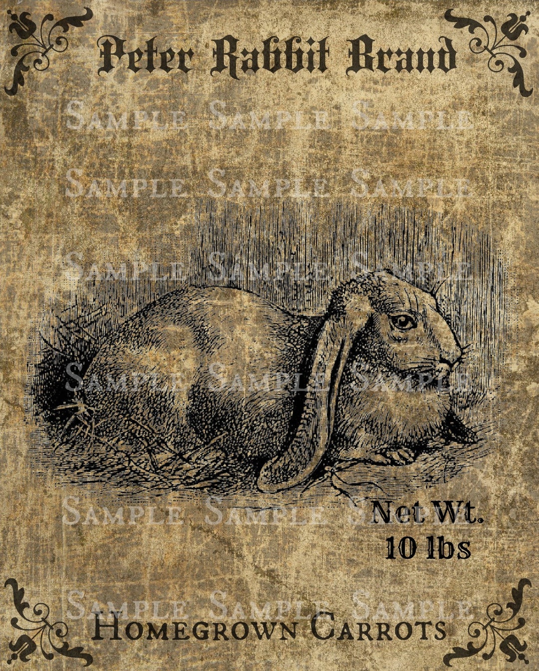 Primitive Vintage Peter Rabbit Carrots Jpeg Digital Image Feedsack Logo ...