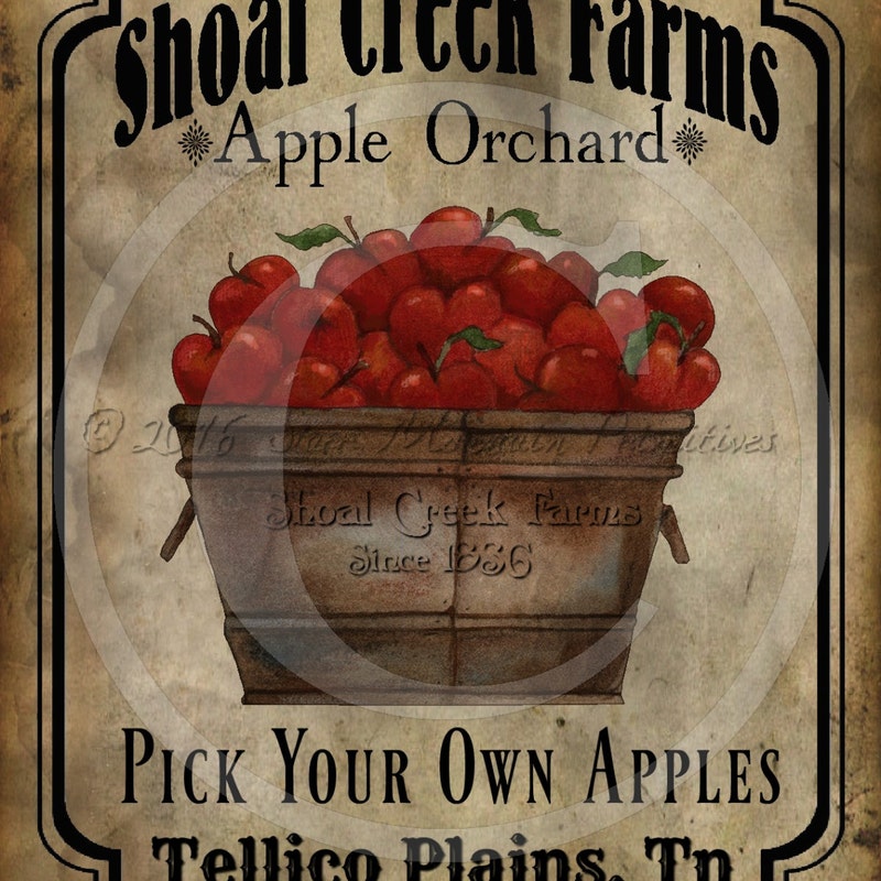 Starrmtnprims - Etsy