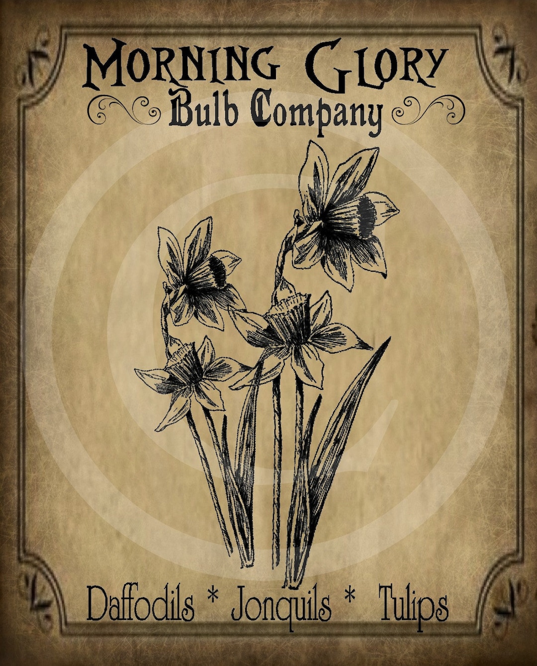 Primitive Daffodil Tulip Jonquil Flower Print Sign Jpeg Digital Image ...