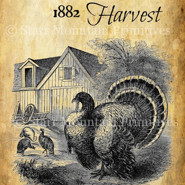 Primitive Turkey Pattern - Etsy