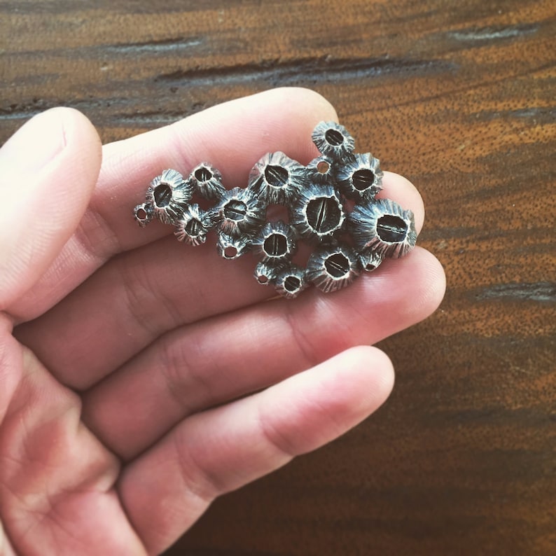 Barnacle Brooch Sterling Silver Hand Crafted - Etsy