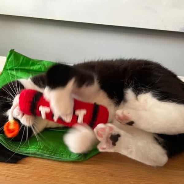 Crochet Cat Toy - Etsy