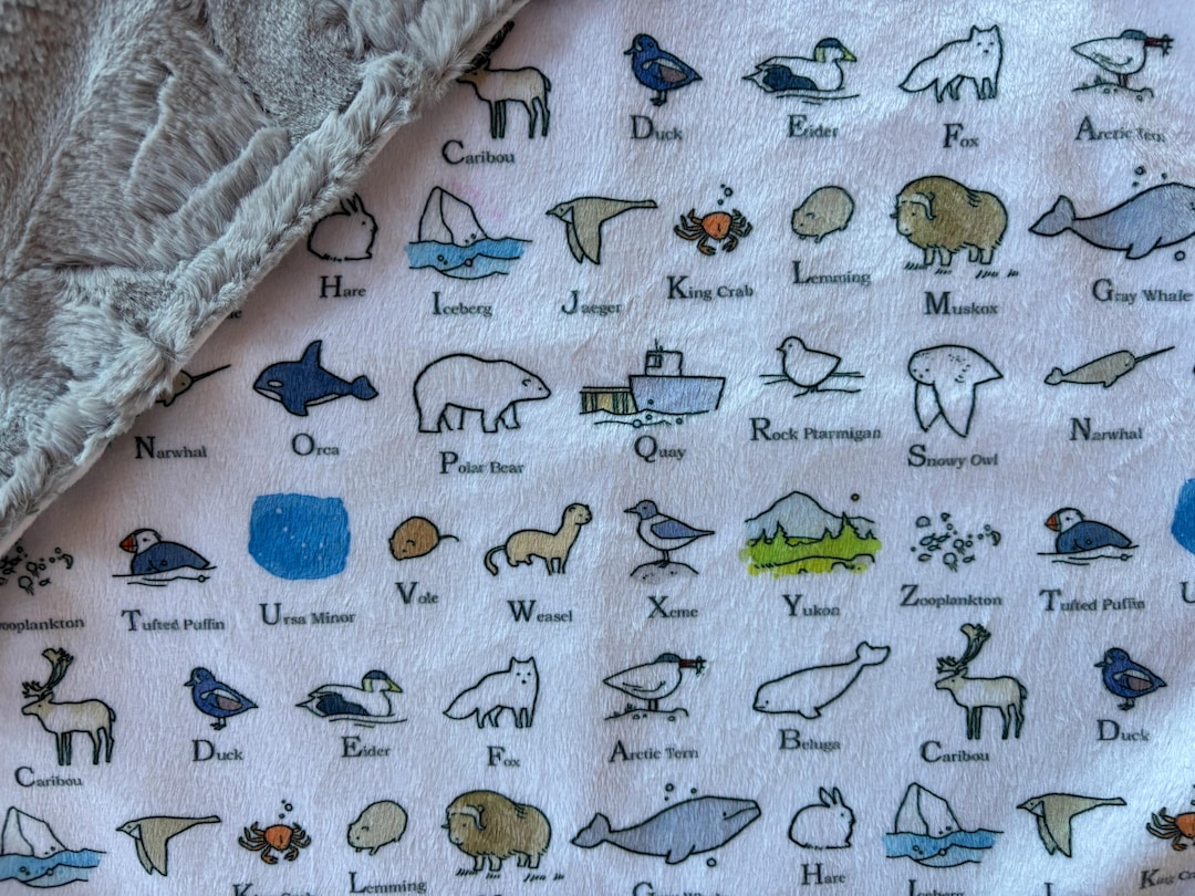 Arctic Animal Alphabet Minky Lovey: Baby Security Blanket (17 Inch) - Etsy