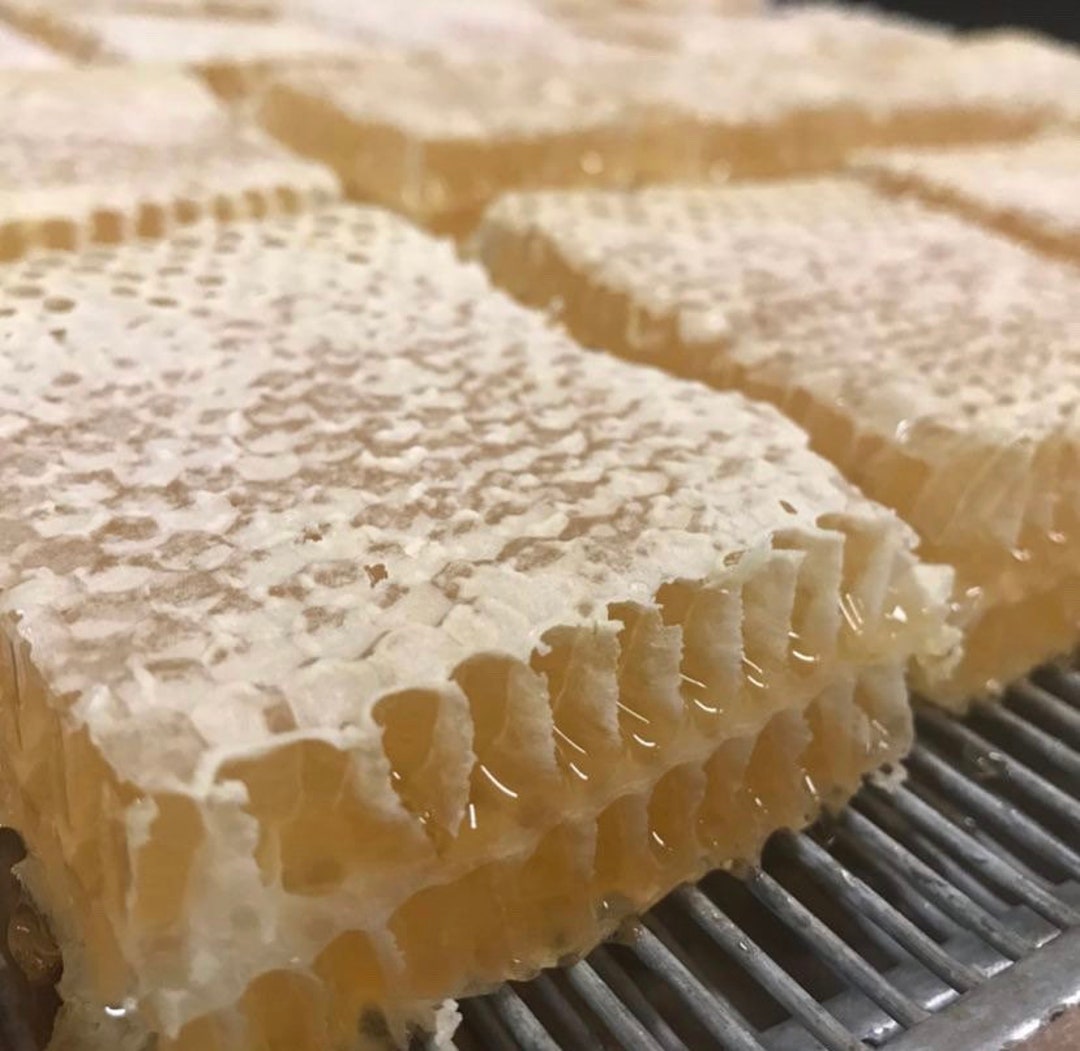 Raw Honey Comb Container 8-10 Oz. Natures Gum Honeycomb All Natural - Etsy