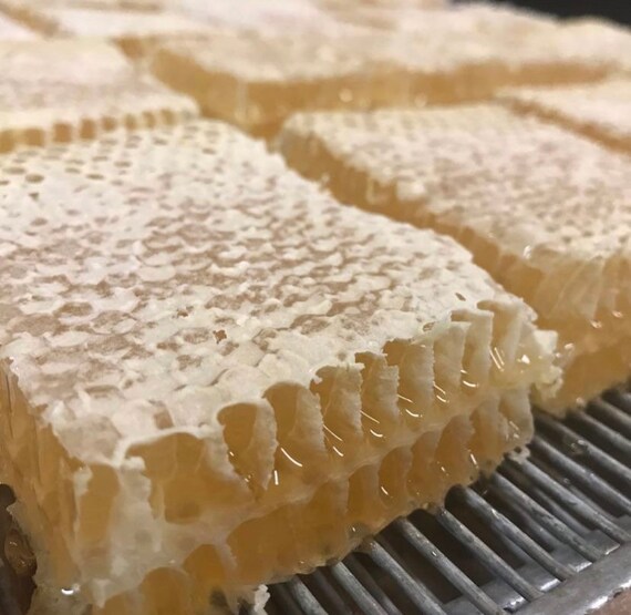 Raw Honey Comb Container 8-10 Oz. Natures Gum Honeycomb All - Etsy