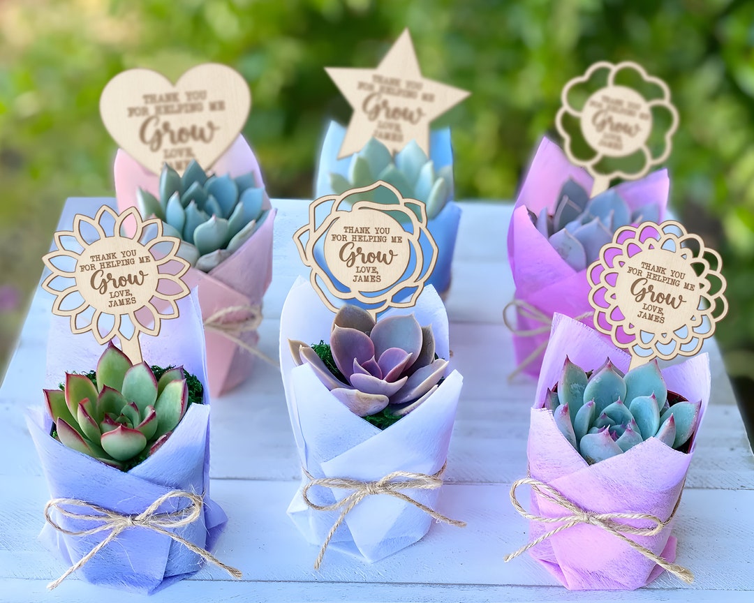Thank You for Helping Me Grow Succulent Stakes | Teacher Appreciation ...