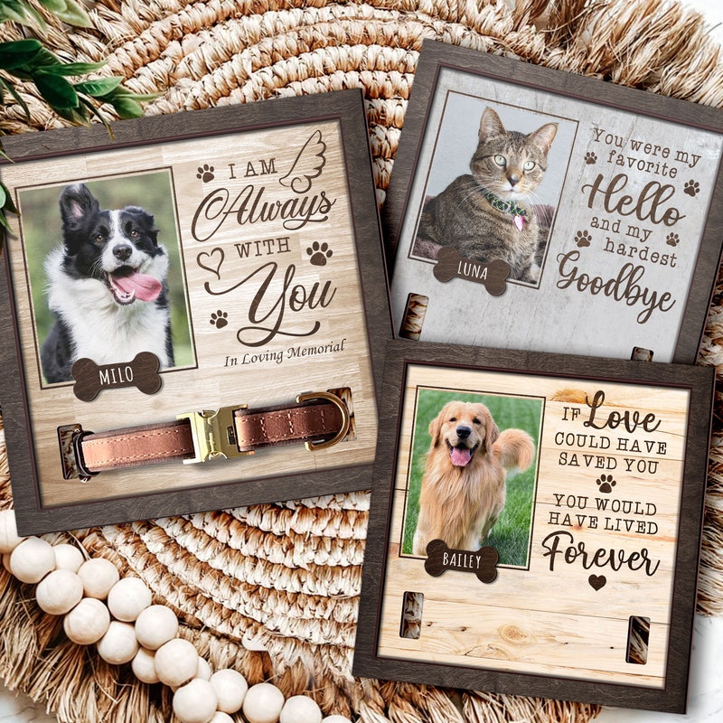 Custom Pet Collar - Etsy