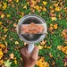 Waldo | Vintage Flower Tumbler Topper, Personalized Tumbler Topper ...