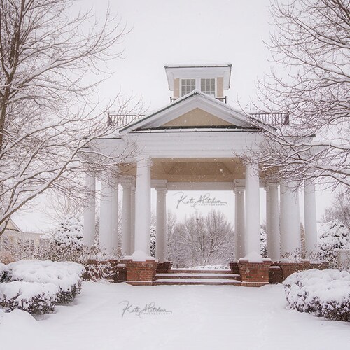 Digital Background of Snow Scene on Winter Morning. - Etsy