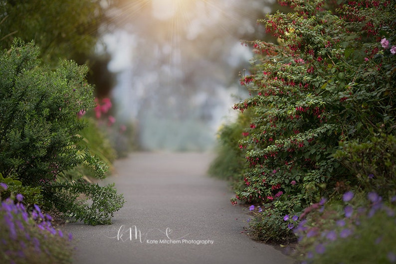 Digital Background of Floral Pathway - Etsy