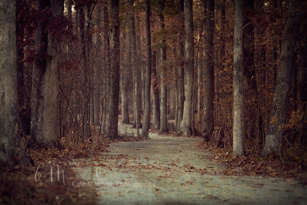 Digital Background of Edgy Trees - Etsy