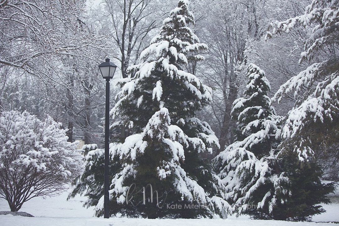 Digital Background of Snow in Narnia - Etsy