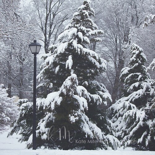 Digital Background of Snow Scene on Winter Morning. | Etsy