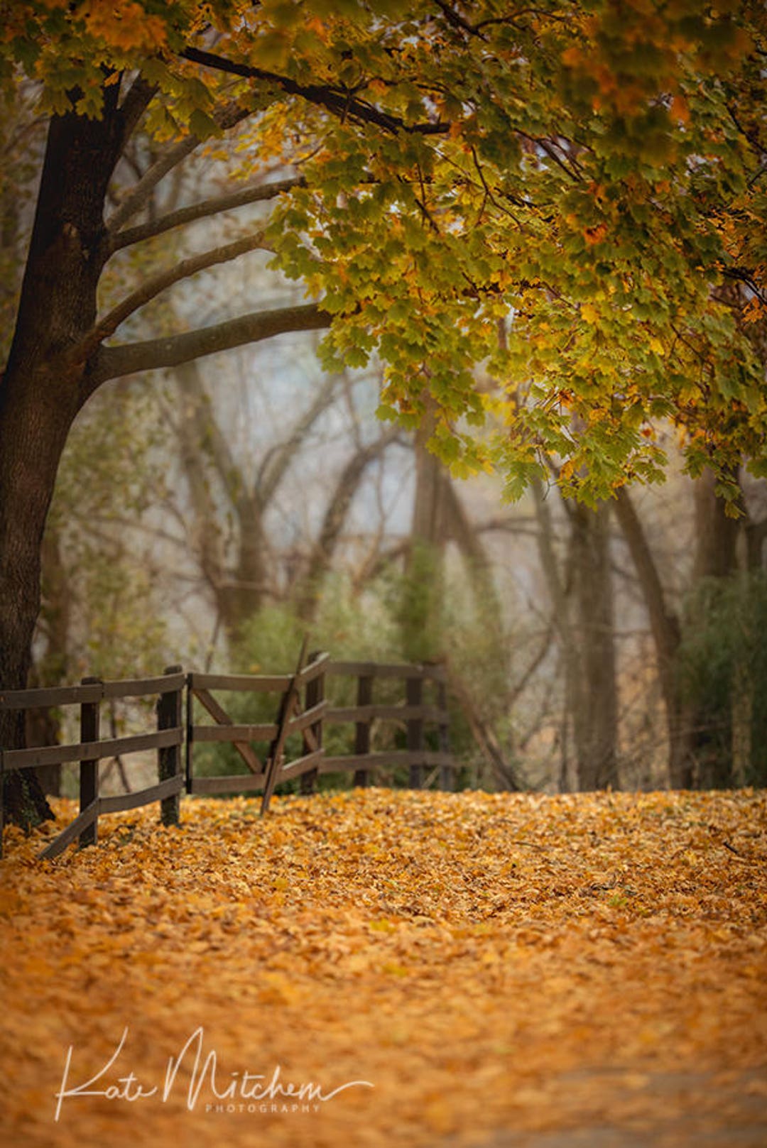 Digital Background of Fall Country Scene - Etsy