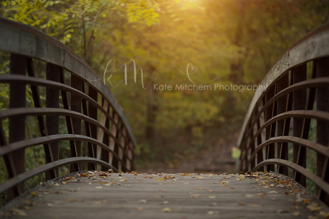 Digital Bridge Backdrop - Etsy