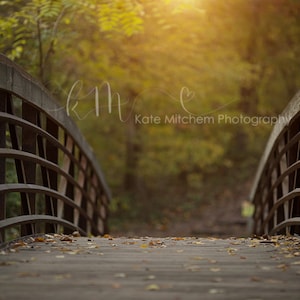 Digital Bridge Backdrop - Etsy