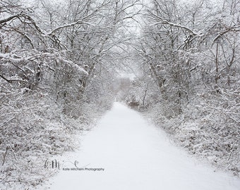 Digital Background of Snow Scene on Winter Morning. | Etsy
