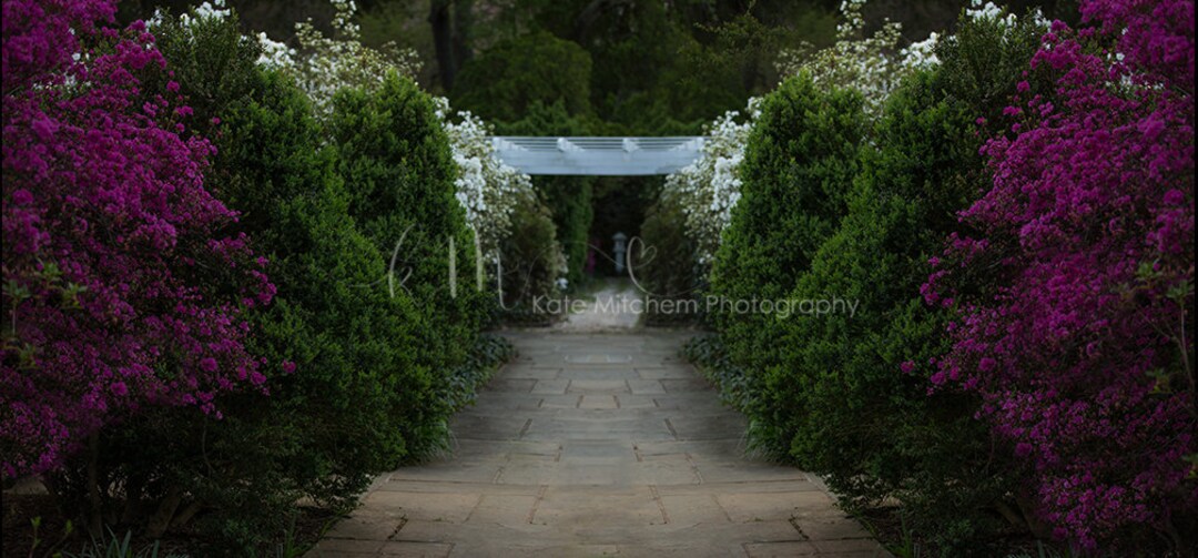 Digital Background of Spring Gardens - Etsy