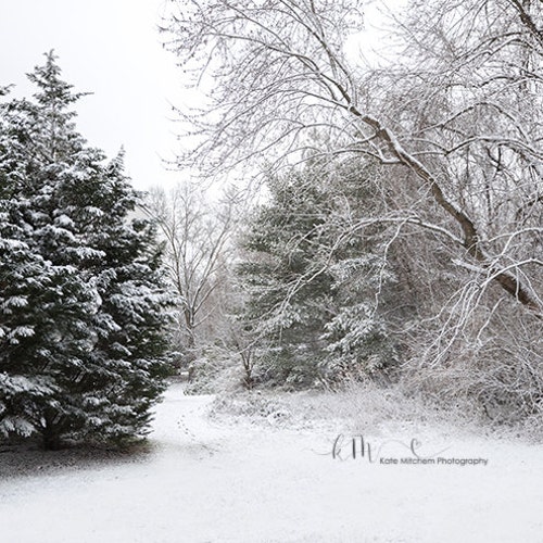 Digital Background of Snow Scene on Winter Morning. | Etsy