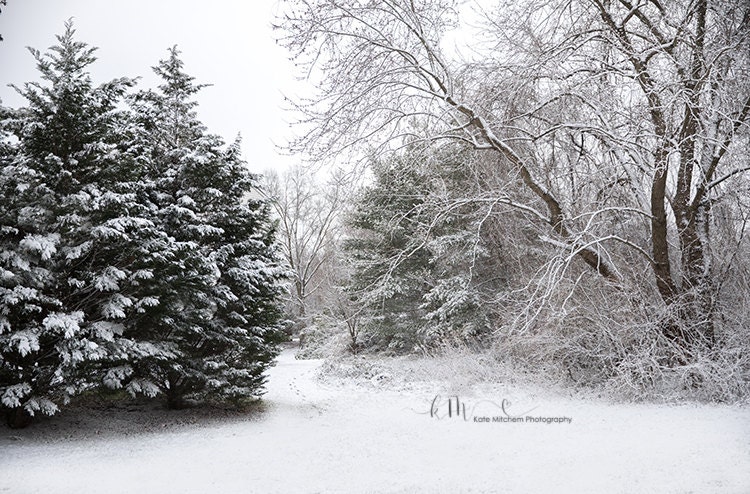 Digital Background of Snow Scene on Winter morning. | Etsy