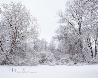 Digital Background of Snow Scene on Winter Morning. | Etsy