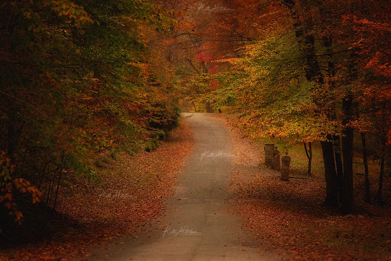 Fall Drive Digital Background - Etsy