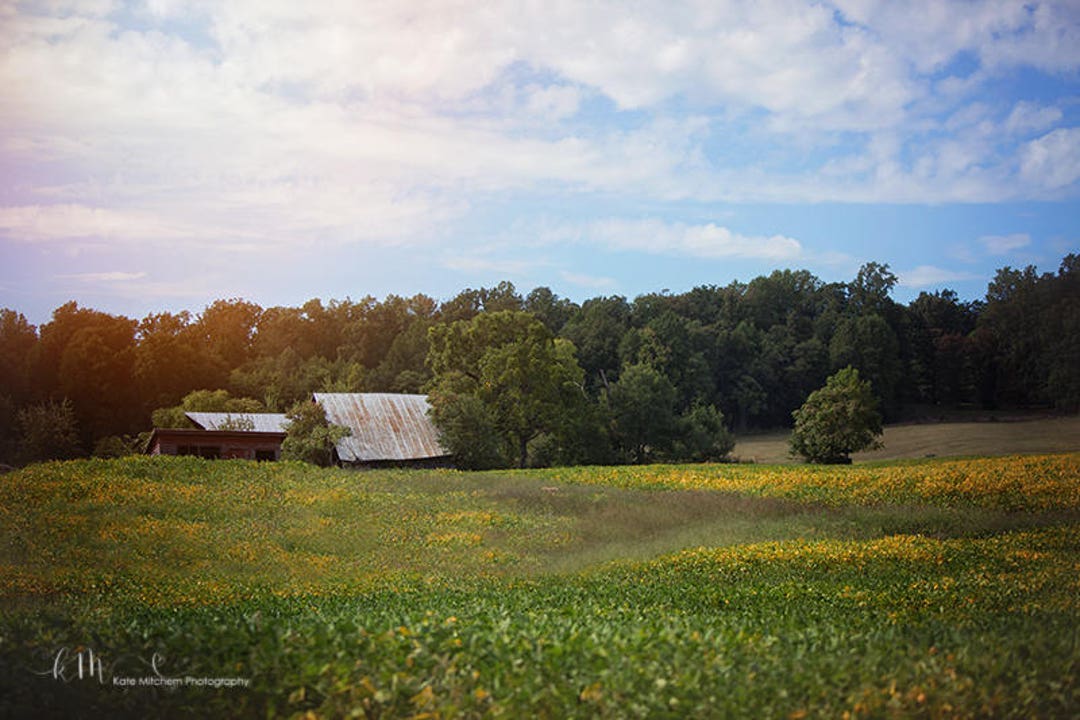 Digital Background of Beautiful Farm in Spring. - Etsy