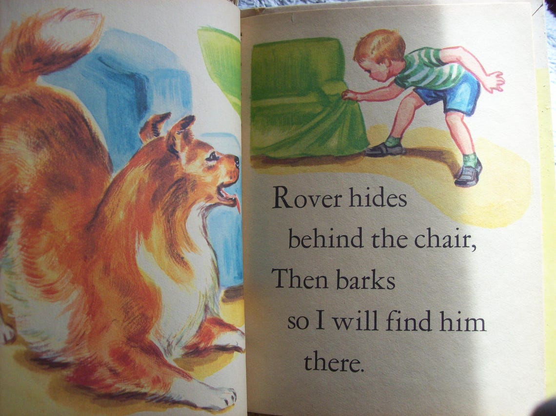 My Animal Picture Book-rand Mcnally Jr Elf Children's Reader- Vintage ...