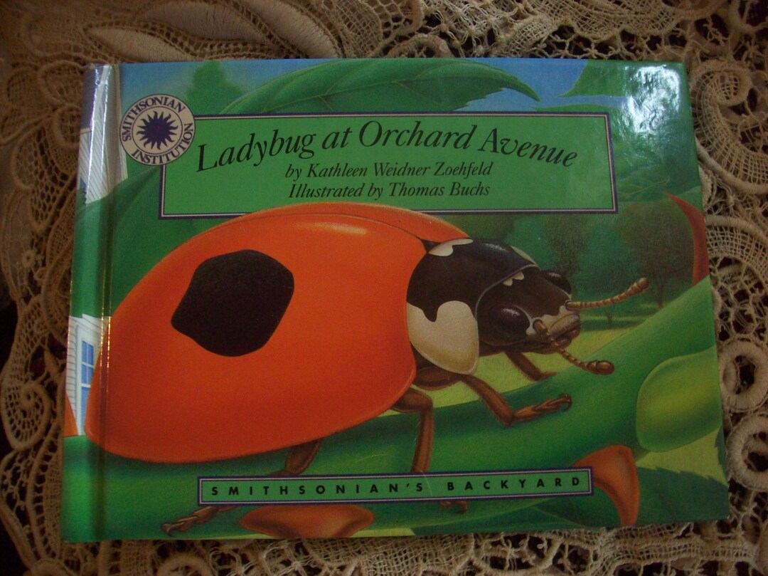 Ladybug at Orchard Avenue by Kathleen Weidner Zoehfield /smithsonian's ...