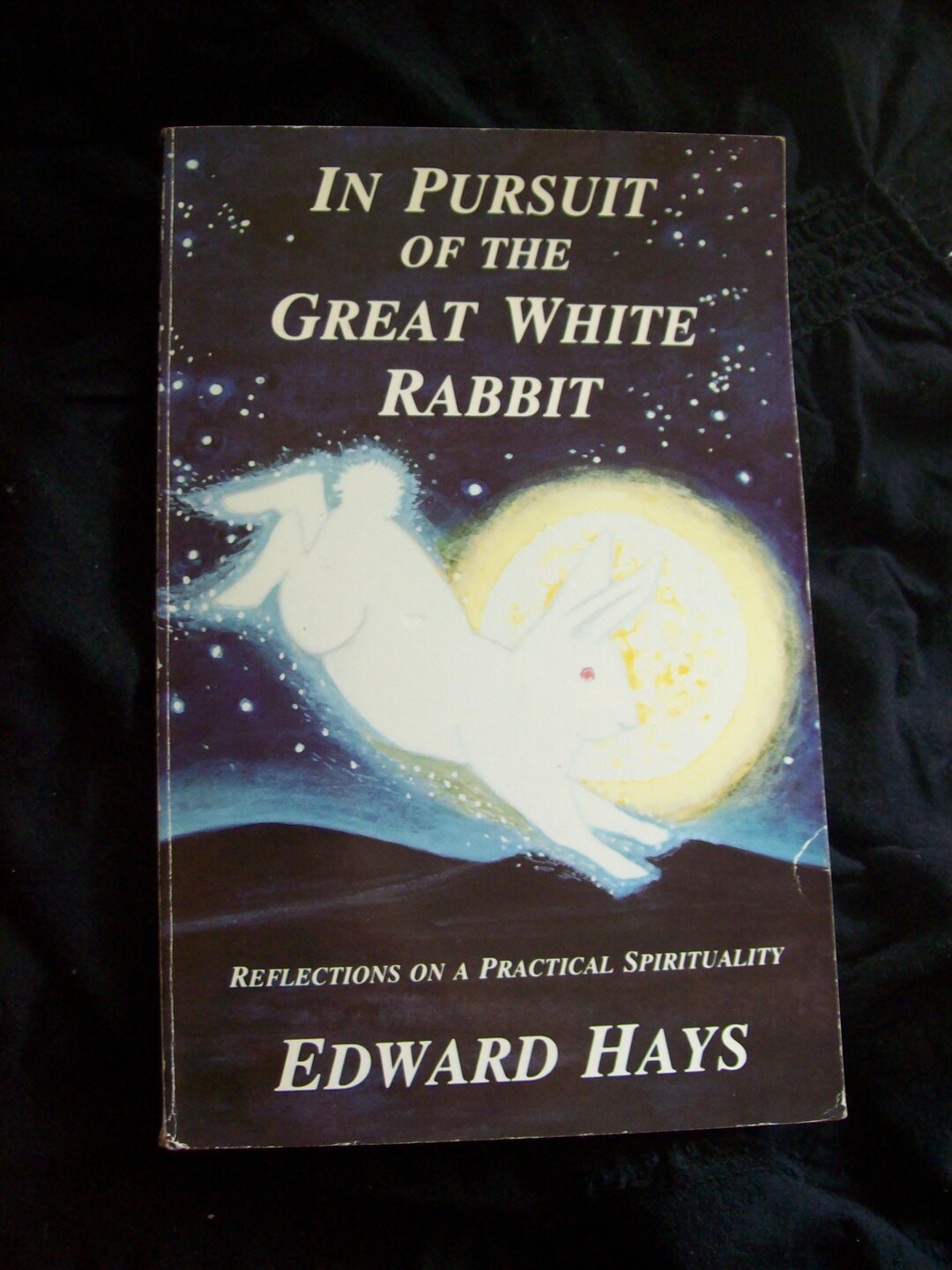Vintage 'in Pursuit of the White Rabbit' Paperback Book, 1992 - Etsy