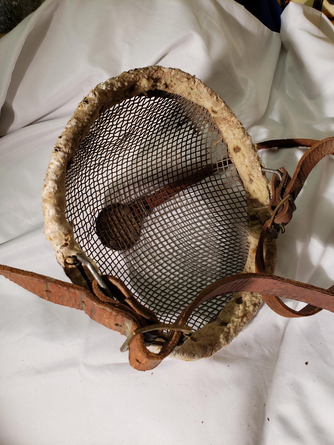 Vintage Dieselpunk Mule Muzzle Grazing Mask Nice Leather and Mesh - Etsy