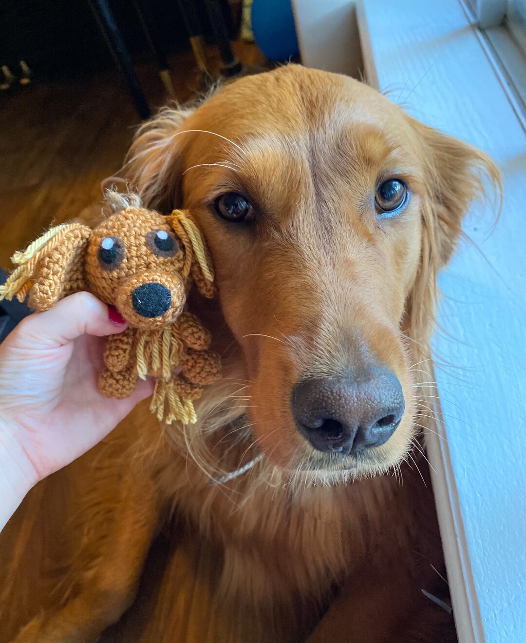 Custom Dog Review Mirror Hanger, Custom Crochet Dog Car Ornament, Dog ...