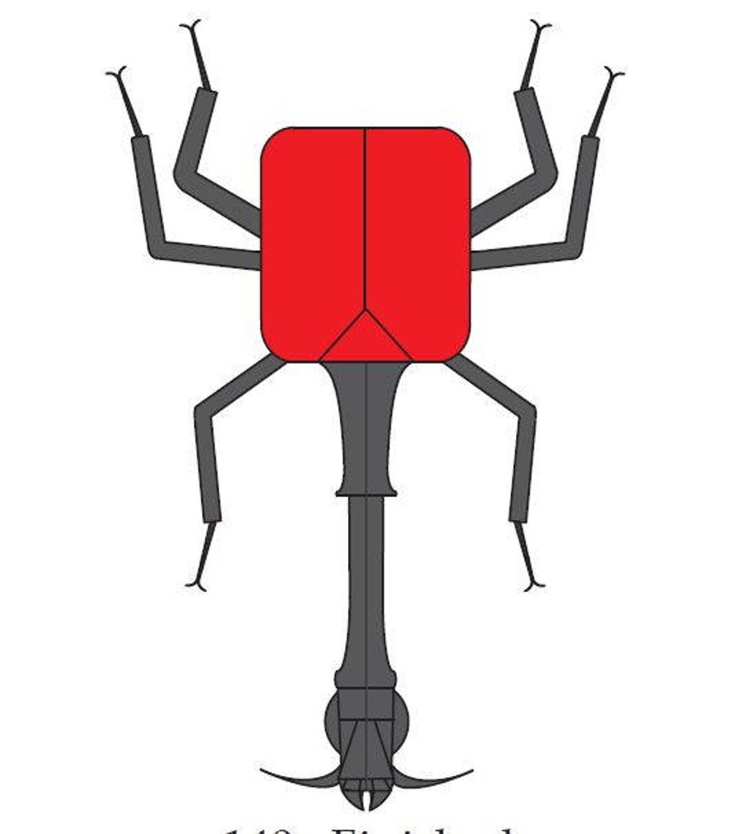 Origami Diagrams - Giraffe Weevil - Etsy