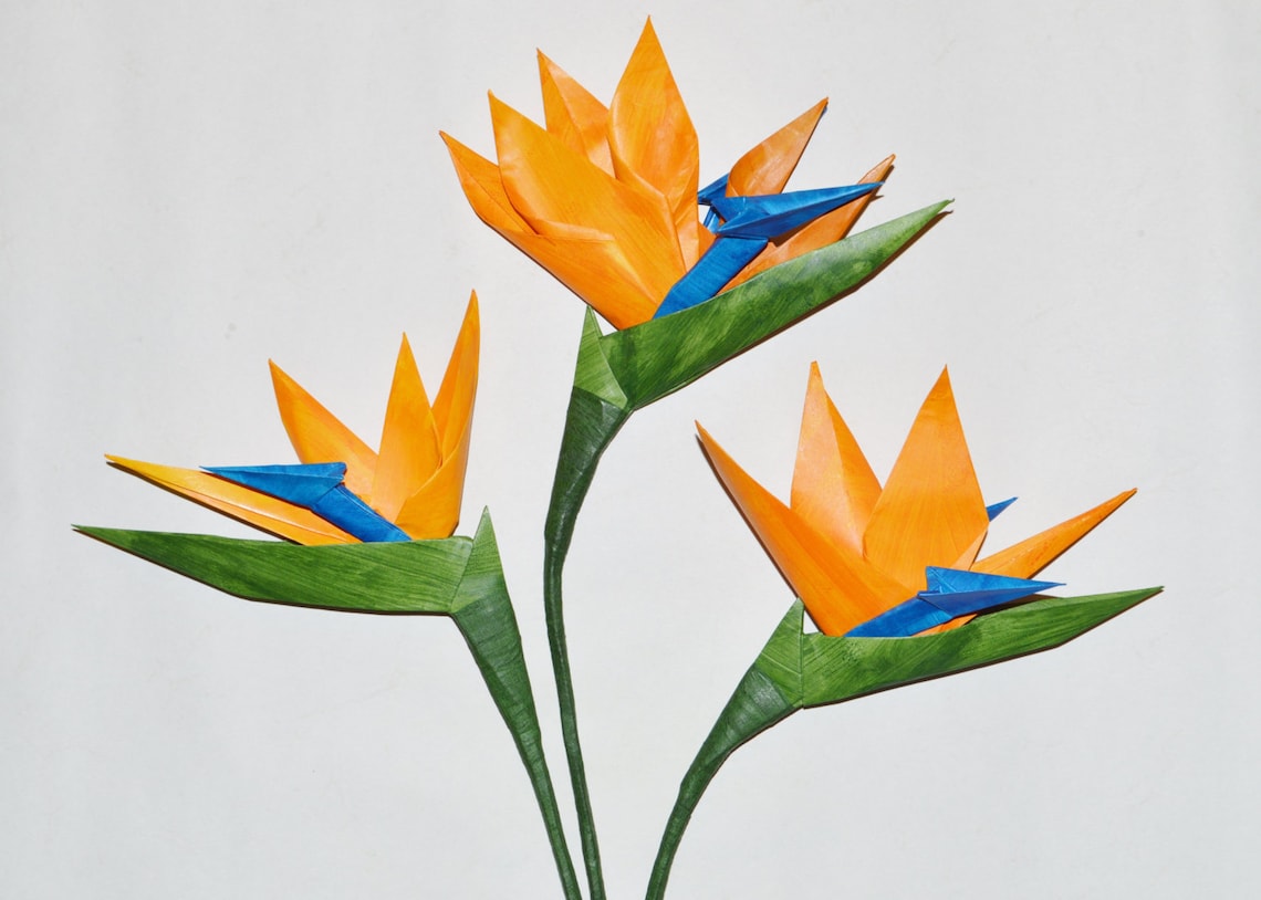 Origami Diagrams - Bird-of-paradise Flower - Etsy