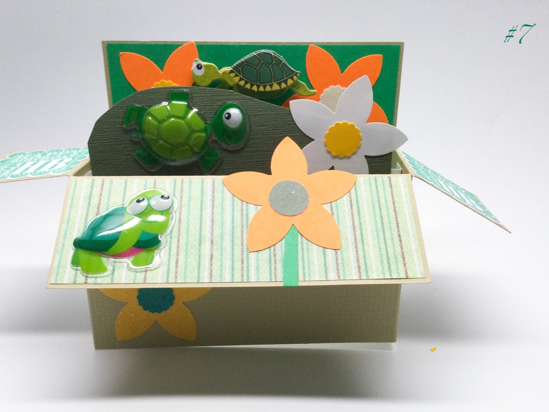 Turtle Pop up Box Card Pirates Pop up Box Card Boys - Etsy