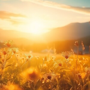 Sunrise, Hope, Relaxing, Horizon, Nature, Beach, Background, Digital ...