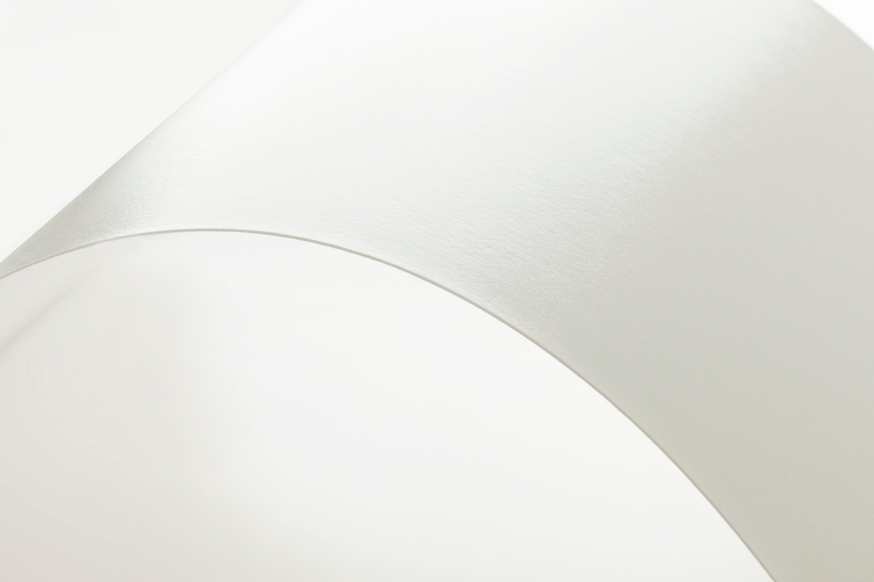 California Condor Print - Etsy